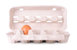 Molded Pulp Trays: 7 Uses for Your Business